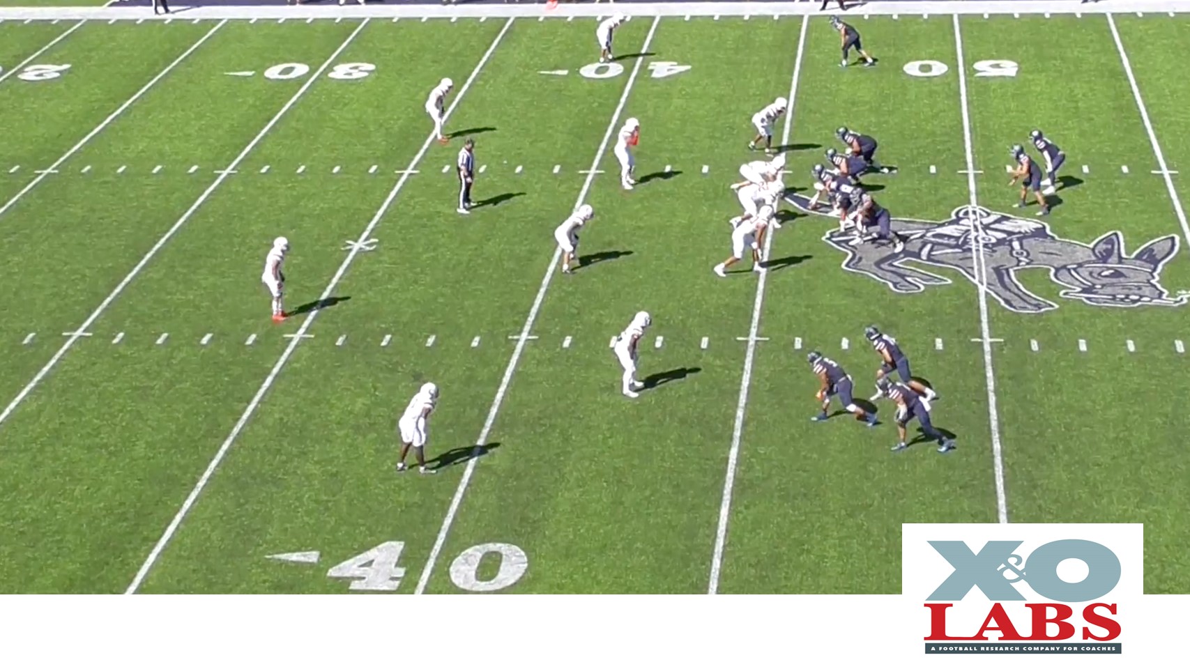 The “Comeback Hitch” and its Potency in Bunch Concepts | X&O Labs